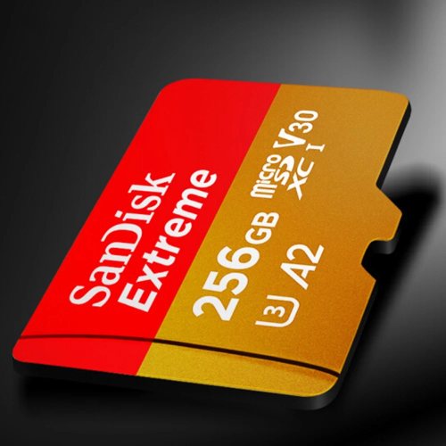 Scheda microSD SanDisk U3 A2 da 256 GB e smartwatch Zeblaze NEO in ...