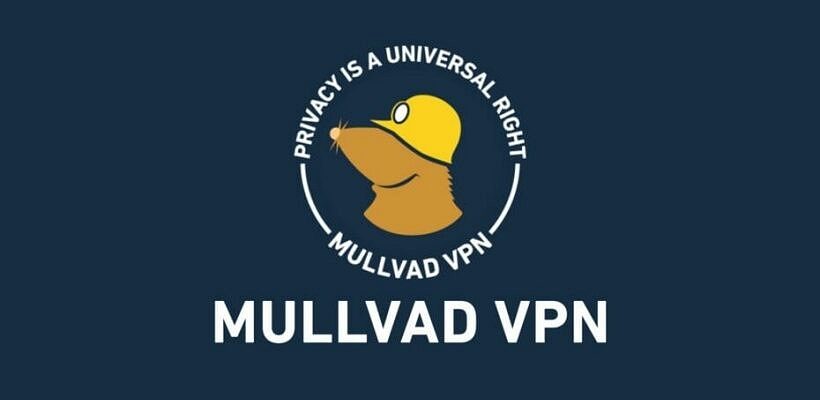 Mullvad: la VPN ora ha un motore di ricerca integrato