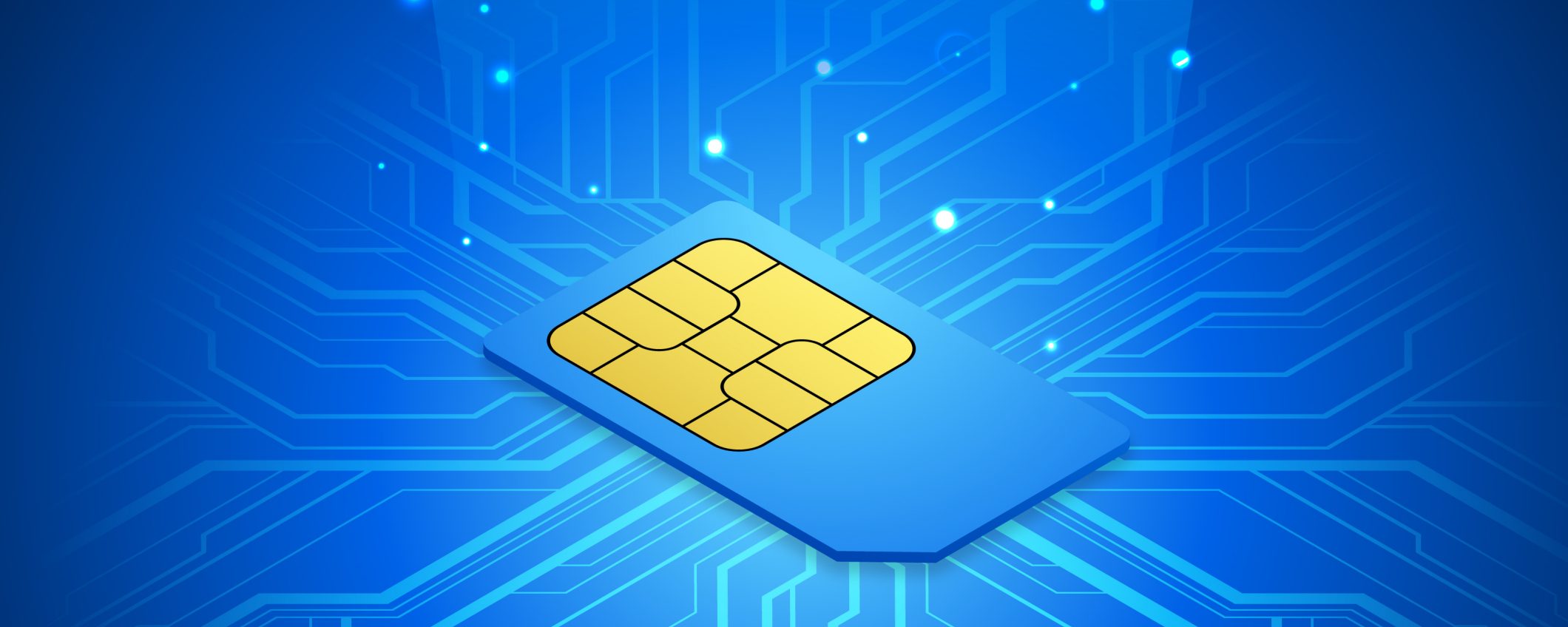 SIM dati per IoT e domotica, anche con IP statico: come sceglierle | IlSoftware.it