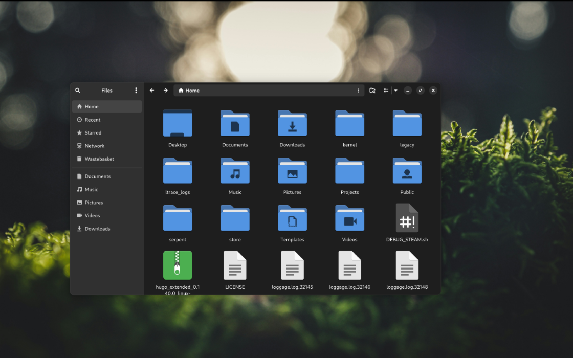 Serpent OS, basato su Linux 6.12 LTS, entra in versione alpha