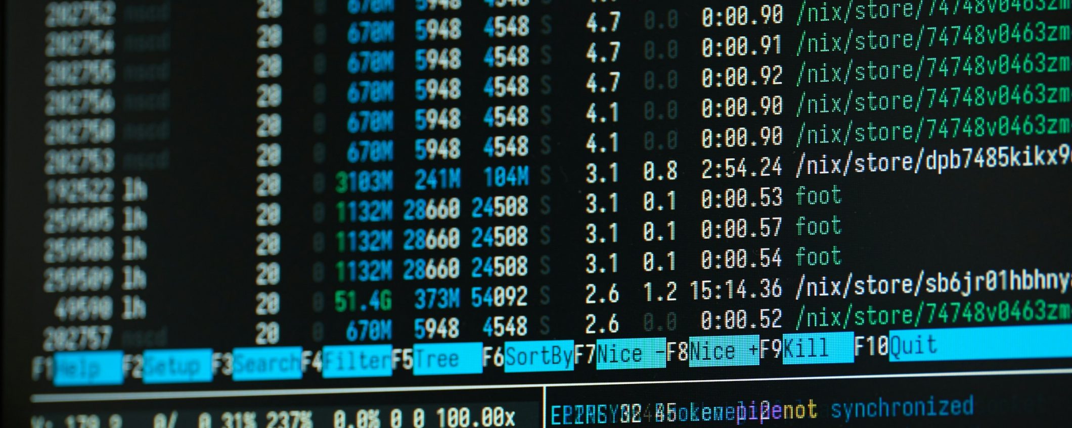 Cos'è una fork bomb su Linux e come difendersi | IlSoftware.it