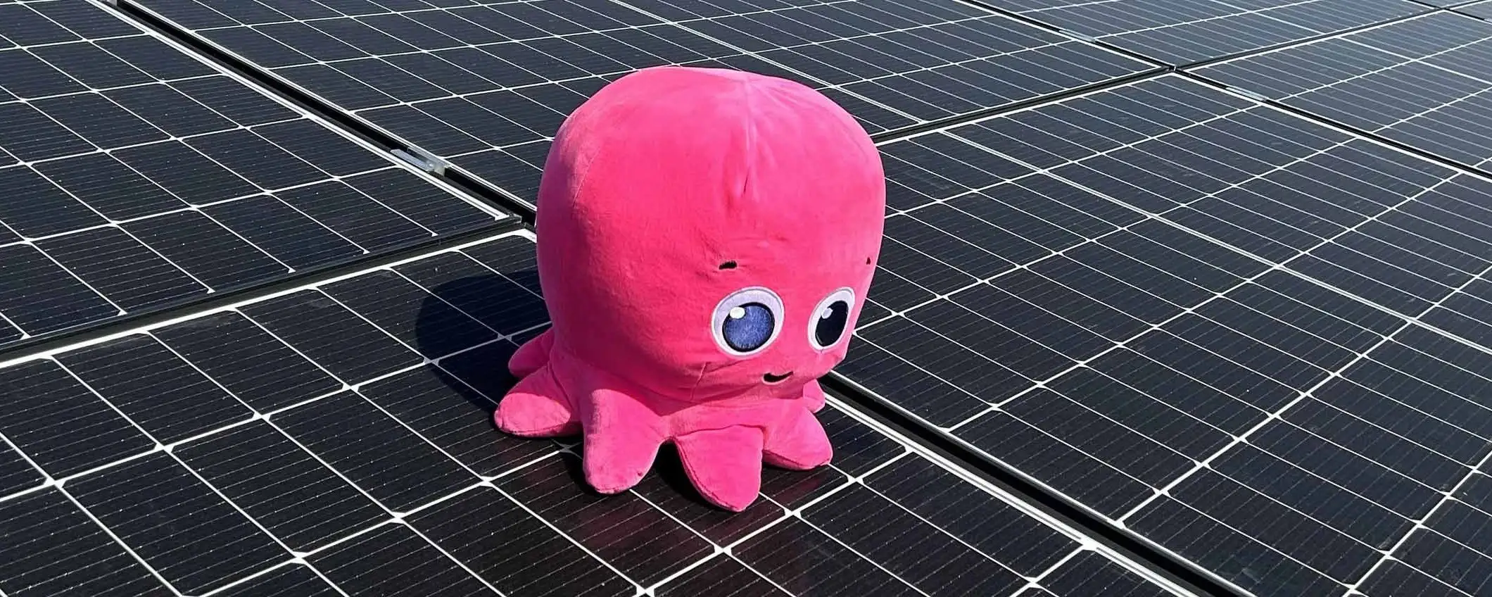 Con Octopus Energy blocchi il prezzo di luce e gas per 12 mesi