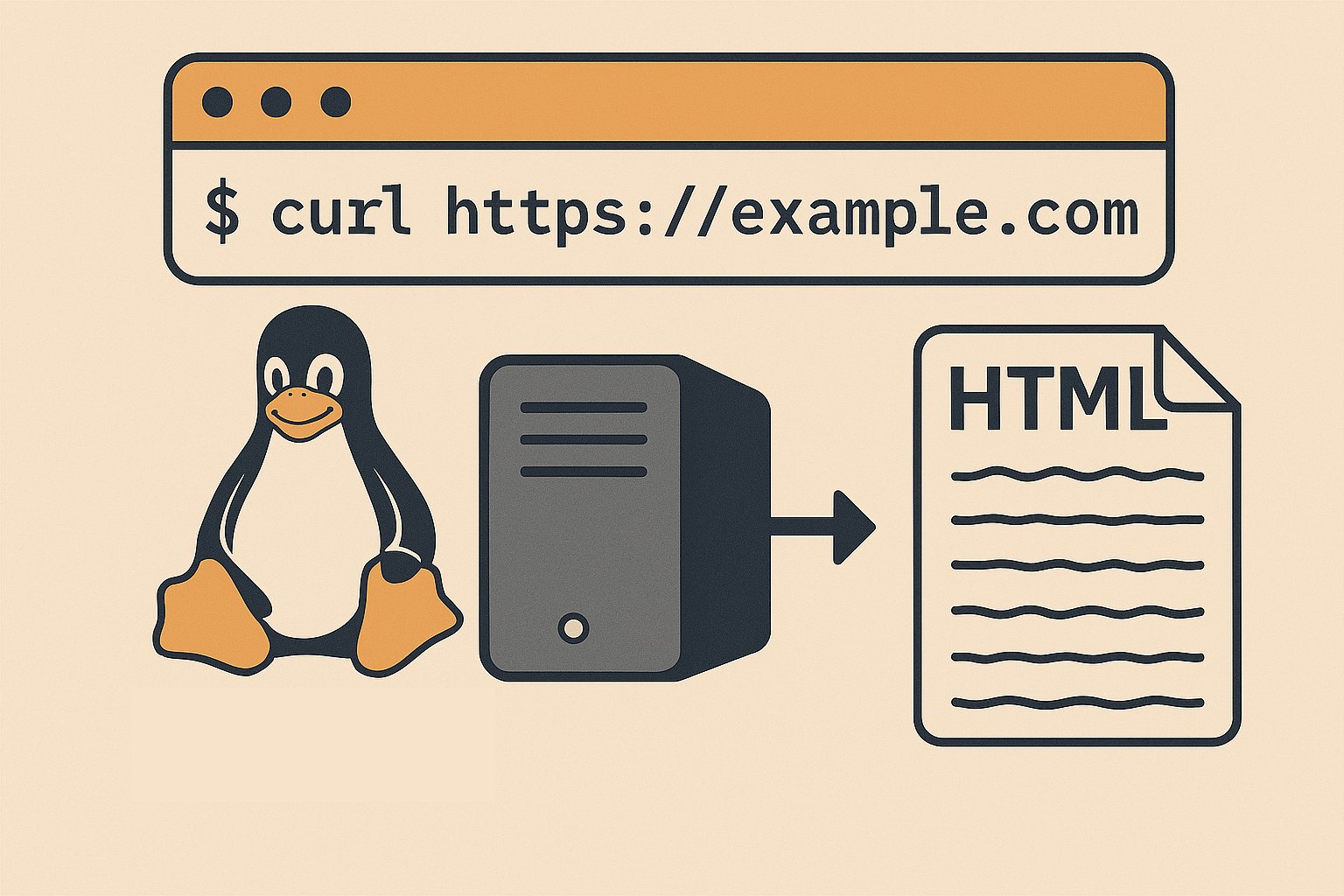 curl su Linux: guida completa per utenti curiosi e professionisti del terminale | IlSoftware.it